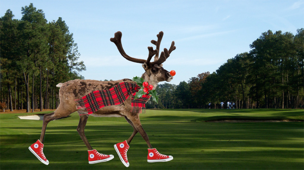 Reindeer spotted in Moore County - Reindeer Fun Run